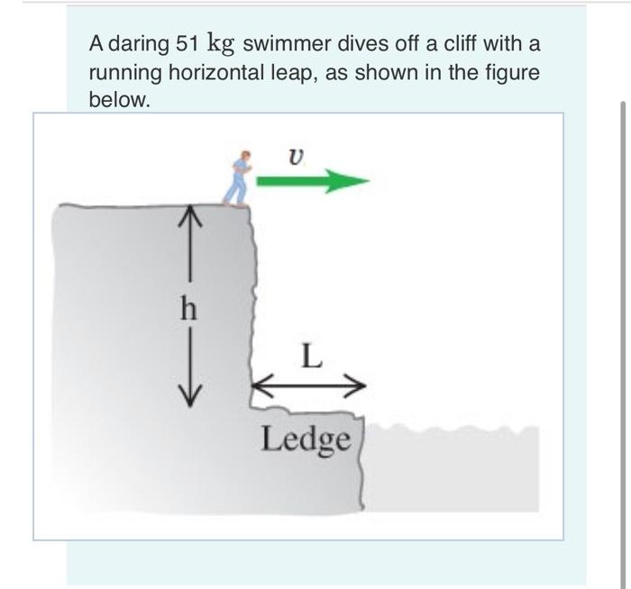 Solved A daring 51 kg swimmer dives off a cliff with a | Chegg.com