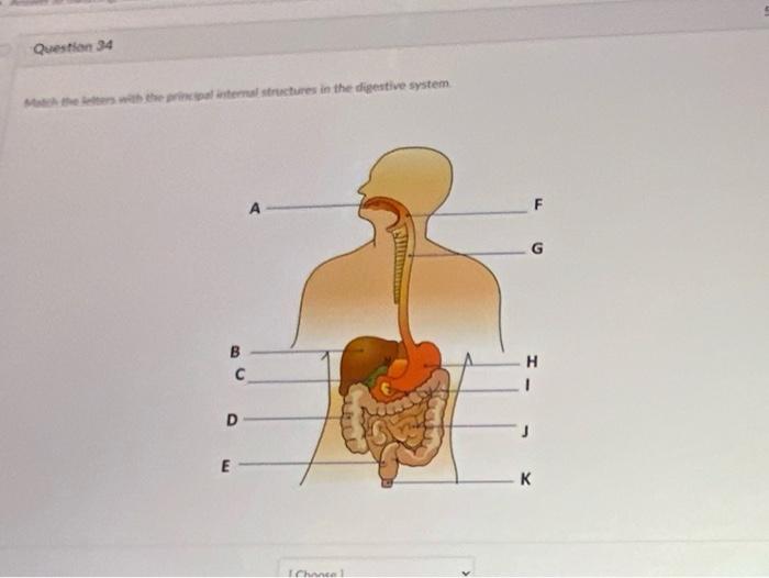 Solved • Answer all matching multiple drop-down and | Chegg.com