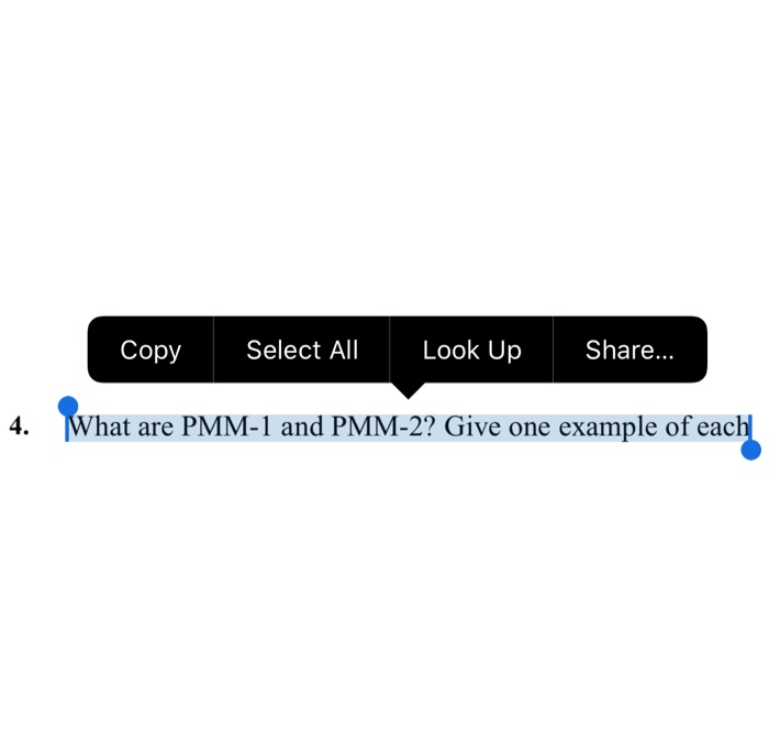 Solved What are PMM-1 and PMM-2? Give one example of each . | Chegg.com