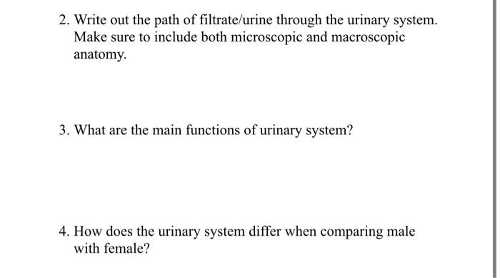 Solved 2. Write out the path of filtrate/urine through the | Chegg.com