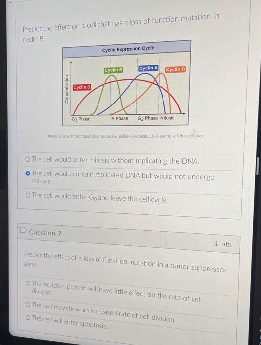 Solved Predict the effect on a cell that has a loss of | Chegg.com