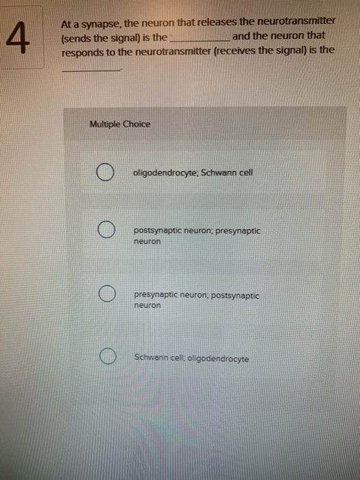 Solved At a synapse, the neuron that releases the | Chegg.com