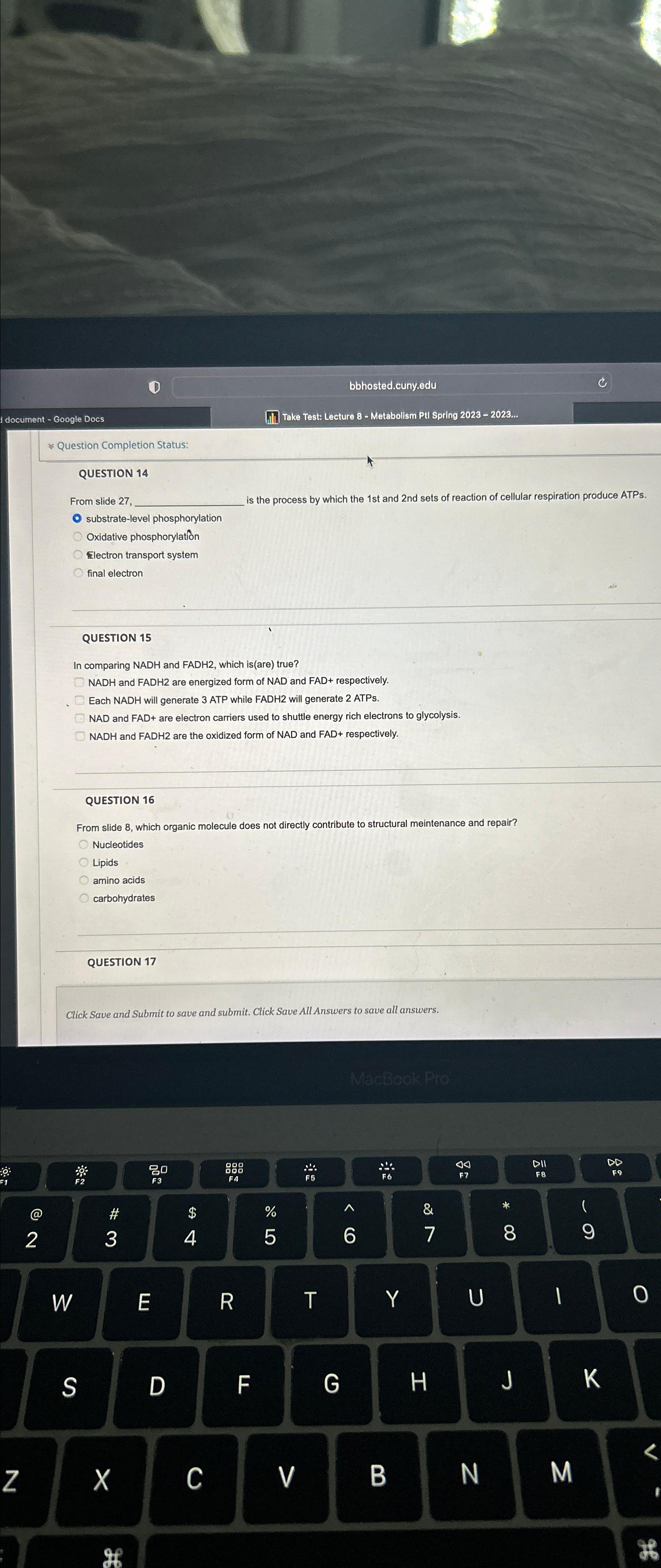 Solved (1)bbhosted.cuny.edudocument - ﻿Google Docs11I Take | Chegg.com