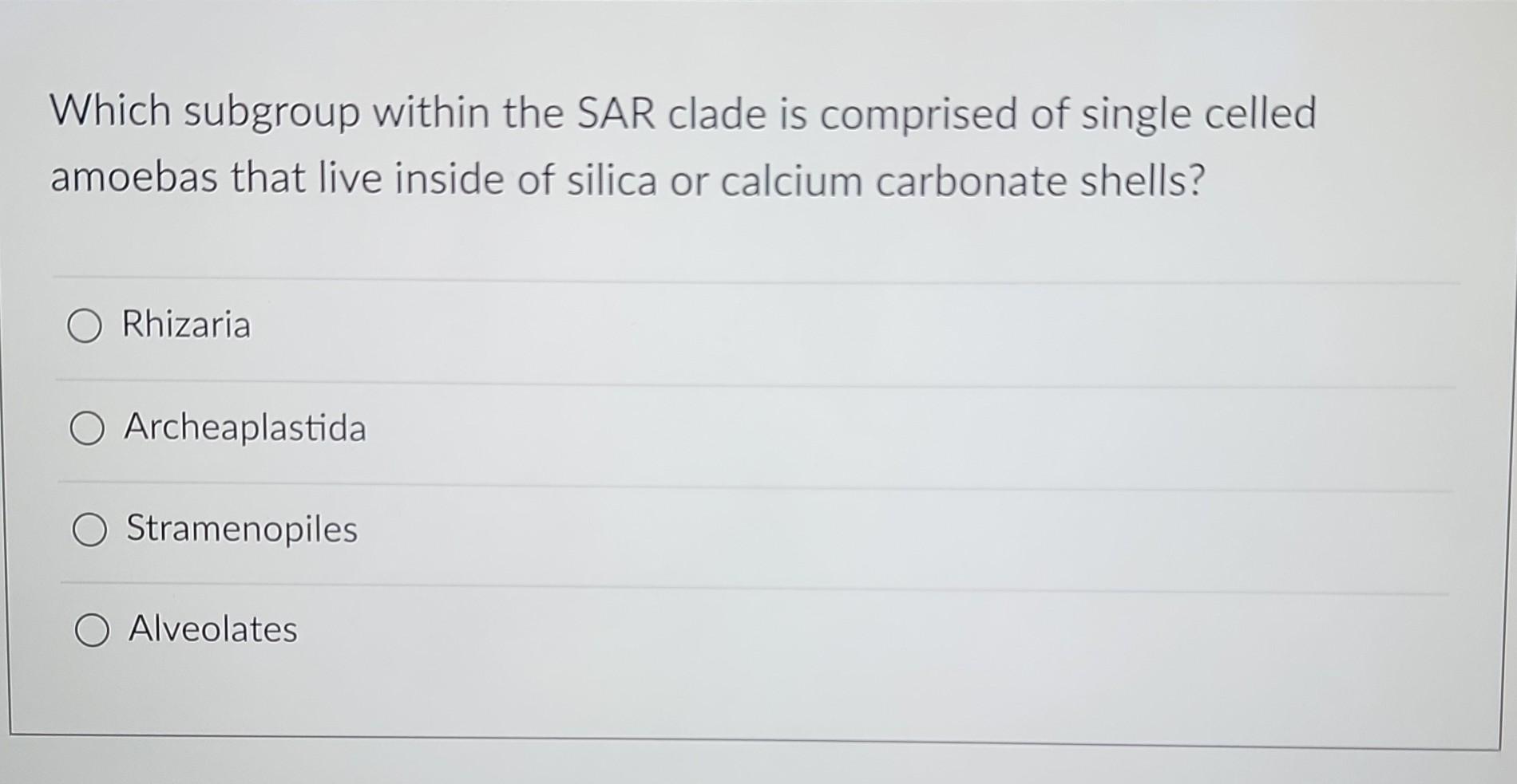 Solved Which subgroup within the SAR clade is comprised of | Chegg.com