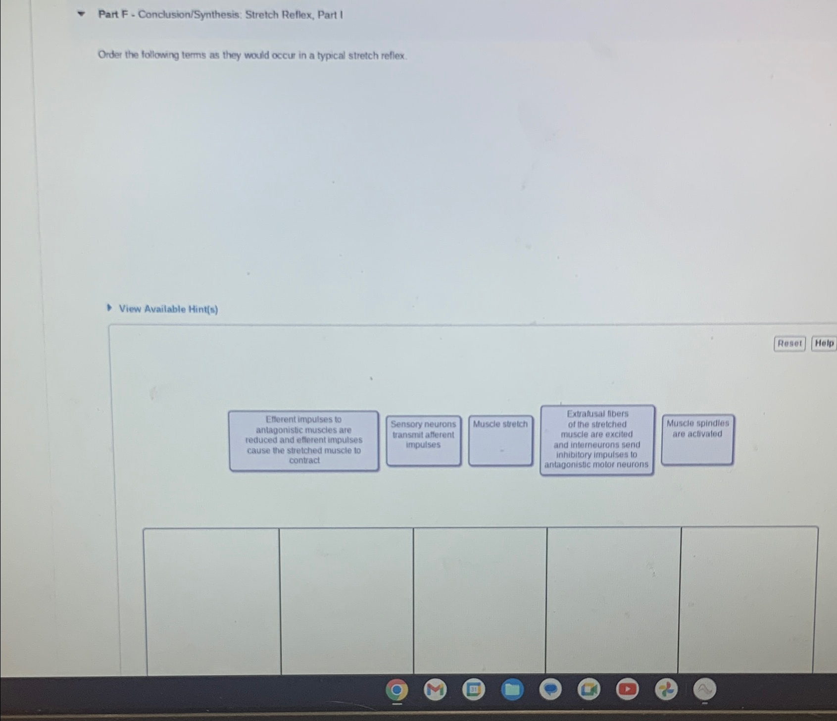 Solved Part F - Conclusion/Synthesis: Stretch Reflex, Part | Chegg.com Solved Part F - Conclusion/Synthesis: Stretch Reflex, Part | Chegg.com