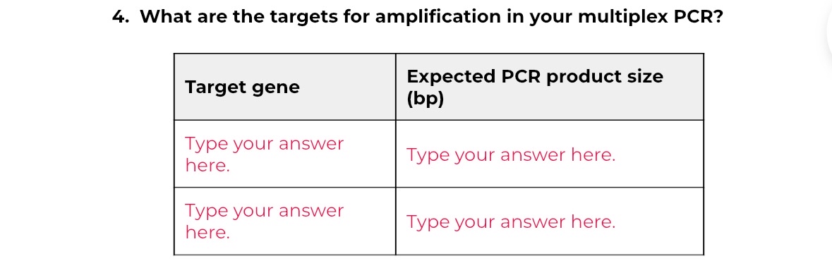 Solved What are the targets for amplification in your | Chegg.com
