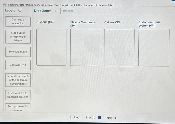 Solved For each characteristic, identify the cellular | Chegg.com