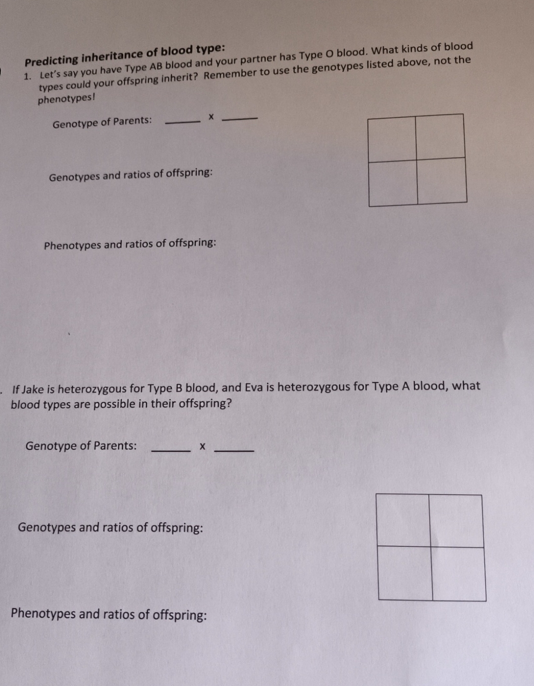 Solved Predicting inheritance of blood type:Let's say you | Chegg.com