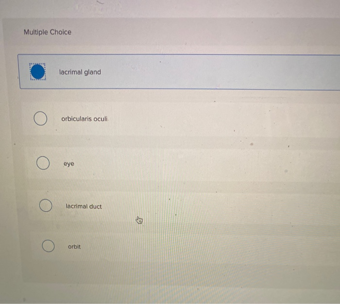 Which structure is highlighted? Multiple Choice | Chegg.com