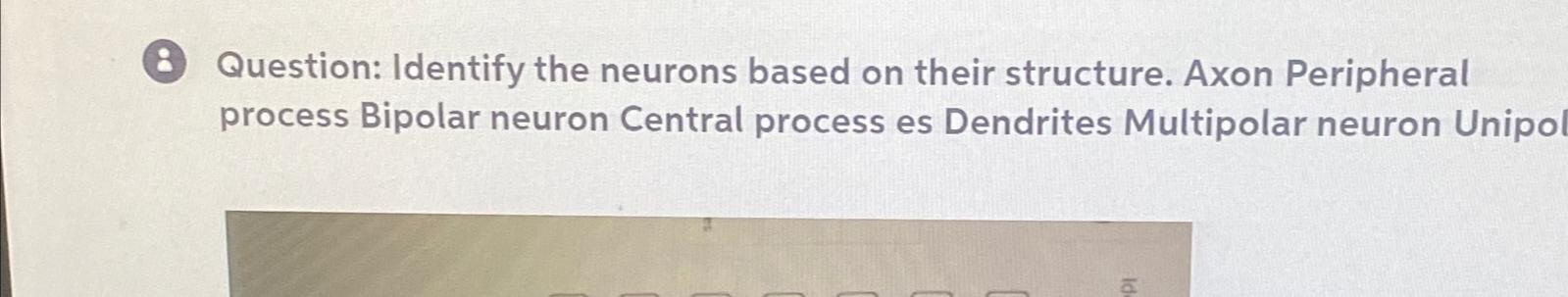 Solved 8 ﻿Question: Identify the neurons based on their | Chegg.com