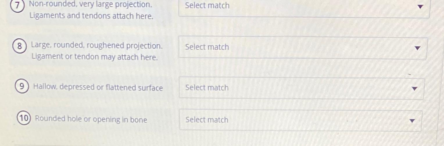 Solved (7) ﻿Non-rounded, very large projection.Select | Chegg.com