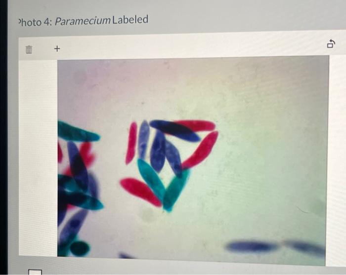 Solved Exercise 1 - Questions Question 1 What structures | Chegg.com