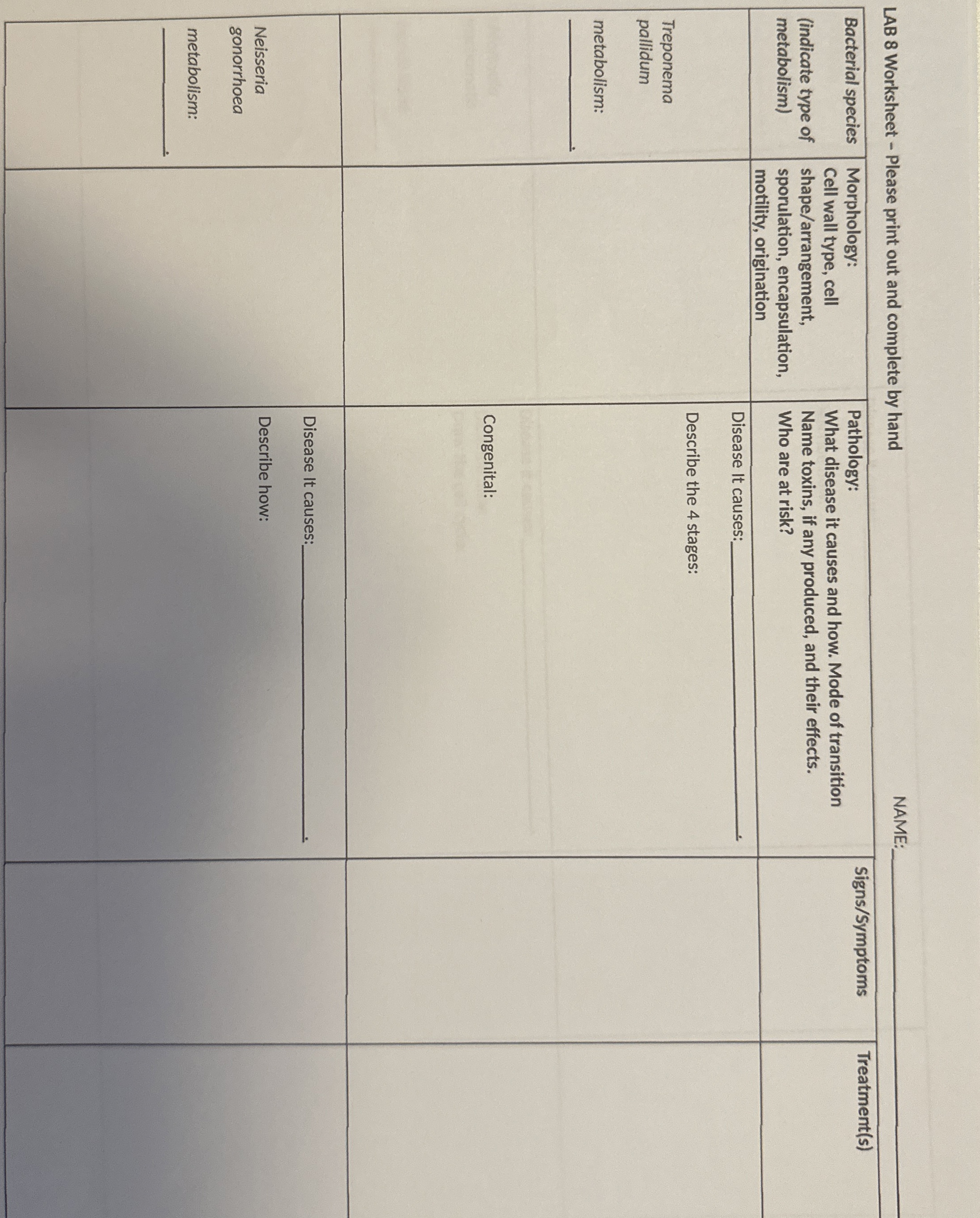 Solved LAB 8 ﻿Worksheet - ﻿Please print out and complete by | Chegg.com