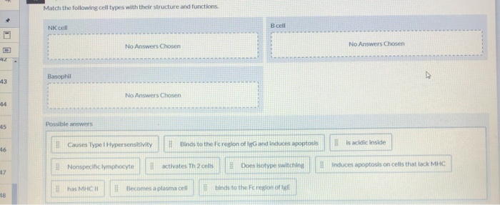Solved Match the following cell types with their structure | Chegg.com