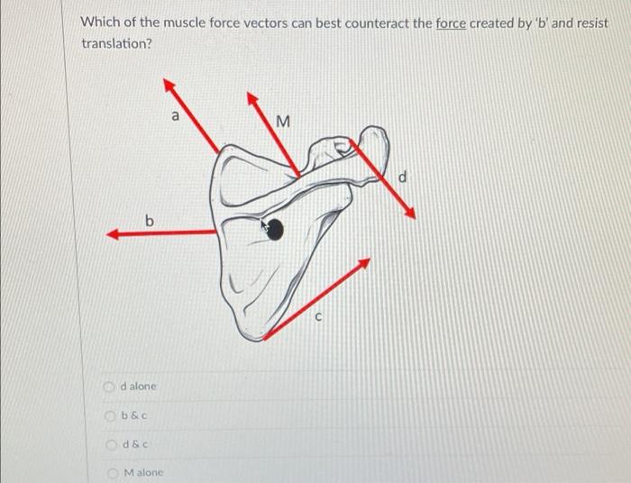 Solved which of the muscle vectors can bedt counteract the | Chegg.com