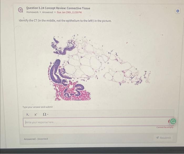 Solved Question 5.24 Concept Review: Connective Tissue | Chegg.com