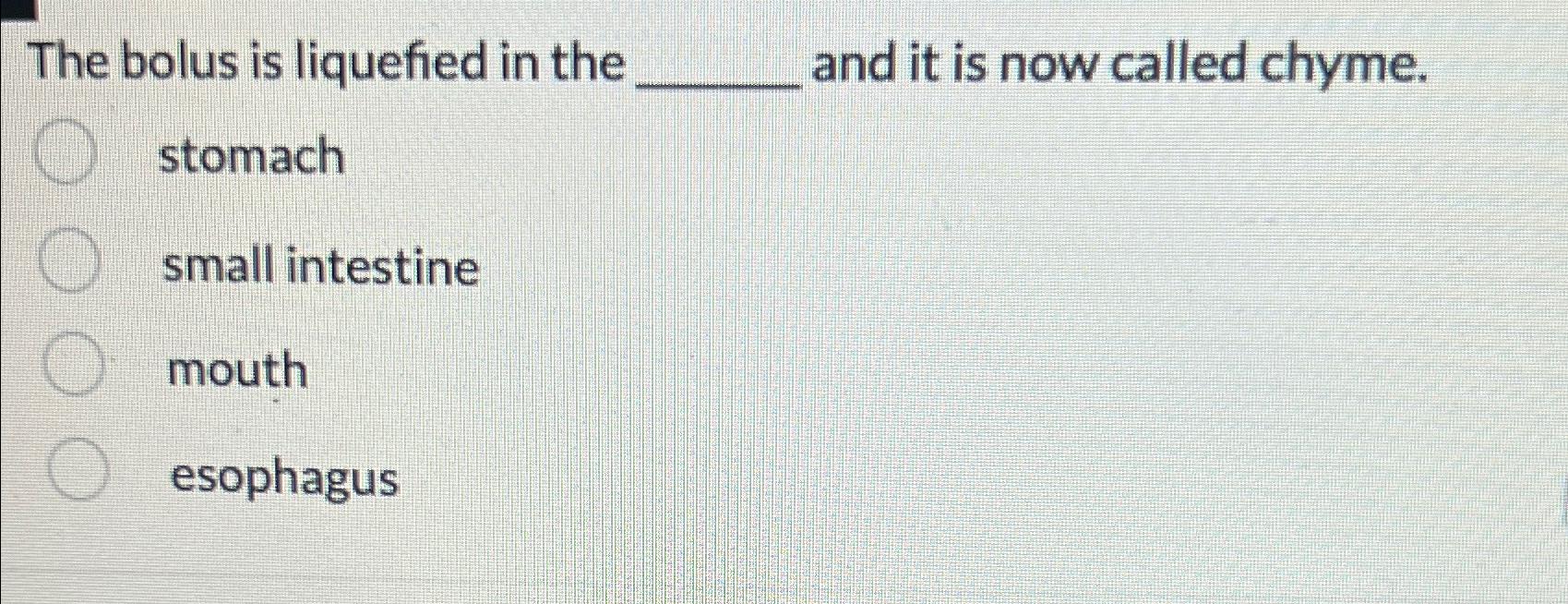 Solved The bolus is liquefied in the and it is now called | Chegg.com
