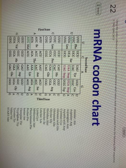 Solved Sayed 22 Using the codon reference table provided | Chegg.com