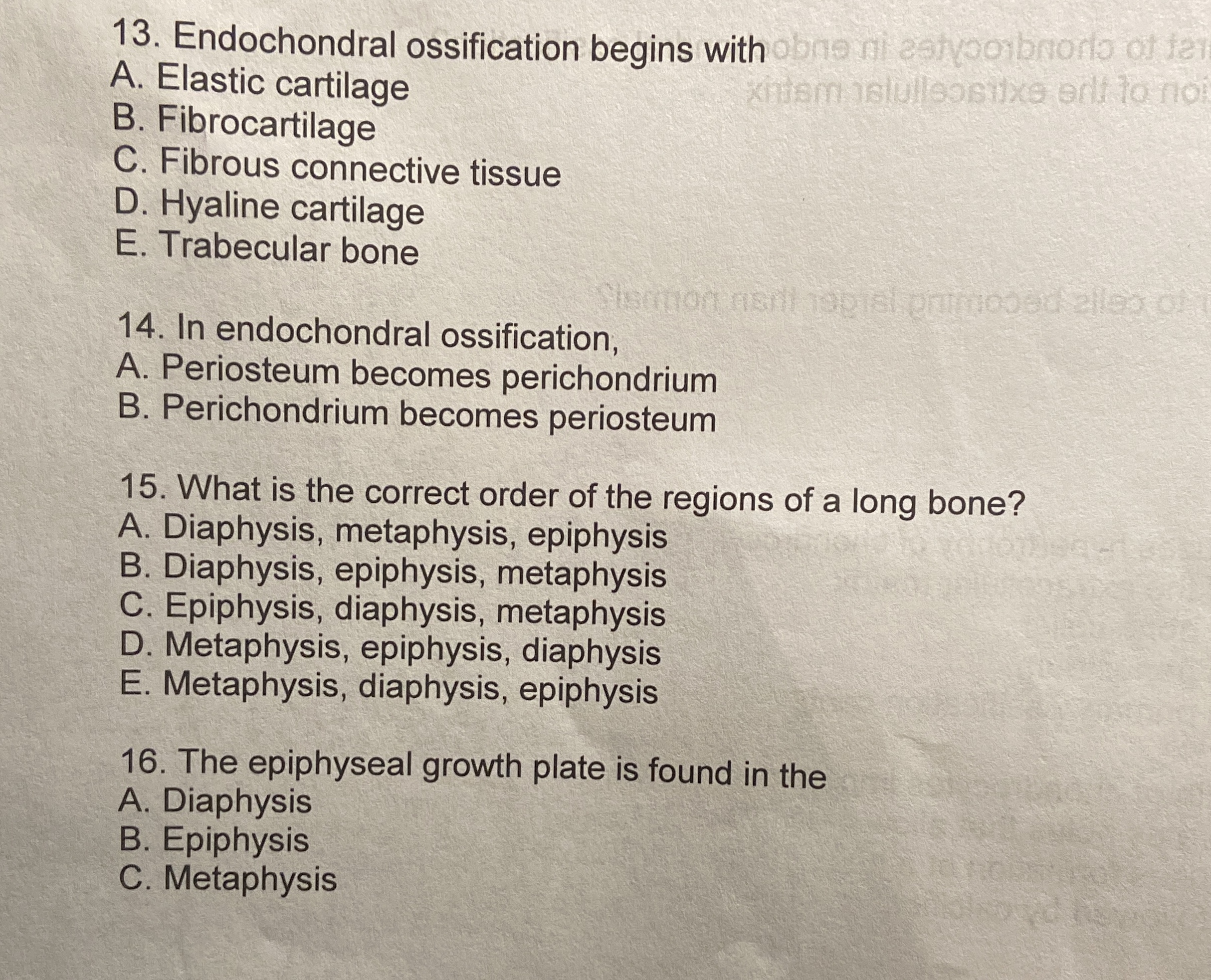 Solved Endochondral ossification begins withA. ﻿Elastic | Chegg.com