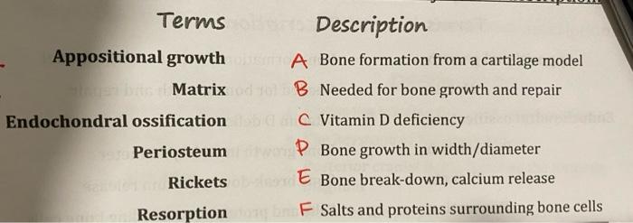 Solved Terms Description Appositional growth Matrix | Chegg.com
