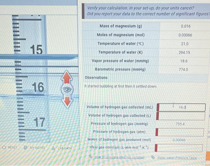 Solved Verify your calculation. In your set-up, do your | Chegg.com