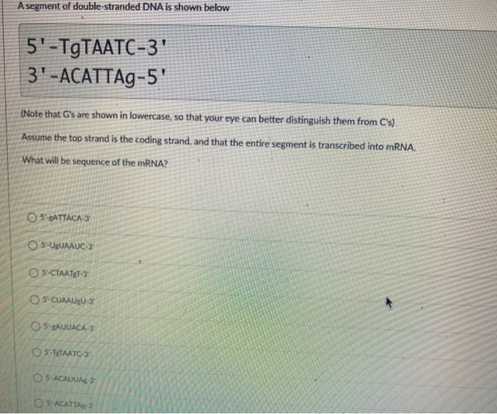 Solved A segment of double-stranded DNA is shown below | Chegg.com