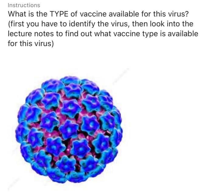 Solved Instructions What is the TYPE of vaccine available | Chegg.com Solved Instructions What is the TYPE of vaccine available | Chegg.com
