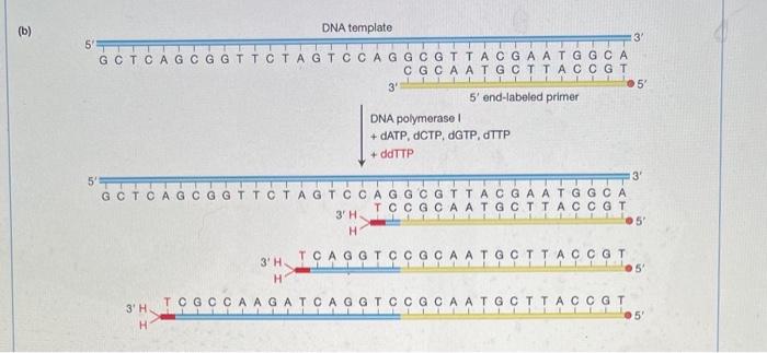 Solved In Figure 10-18b , analogous to the drawing for the | Chegg.com