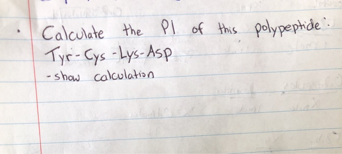 Solved Calculate the Pl of this polypeptide. : Tyr-Cys - | Chegg.com