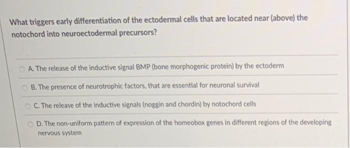 Solved What triggers early differentiation of the ectodermal | Chegg.com