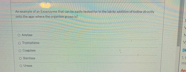 Solved An example of an Exoenzyme that can be easily tested | Chegg.com