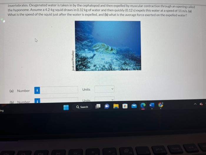 Solved invertebrates. Oxygenated water is taken in by the | Chegg.com