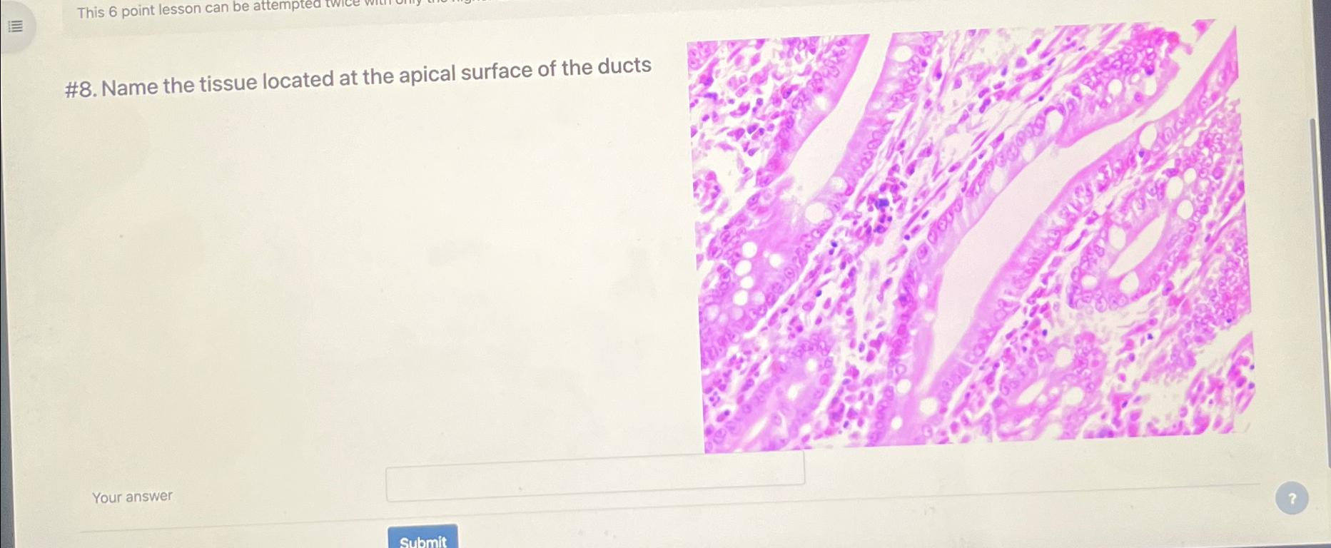 Solved #8. ﻿Name the tissue located at the apical surface of | Chegg.com