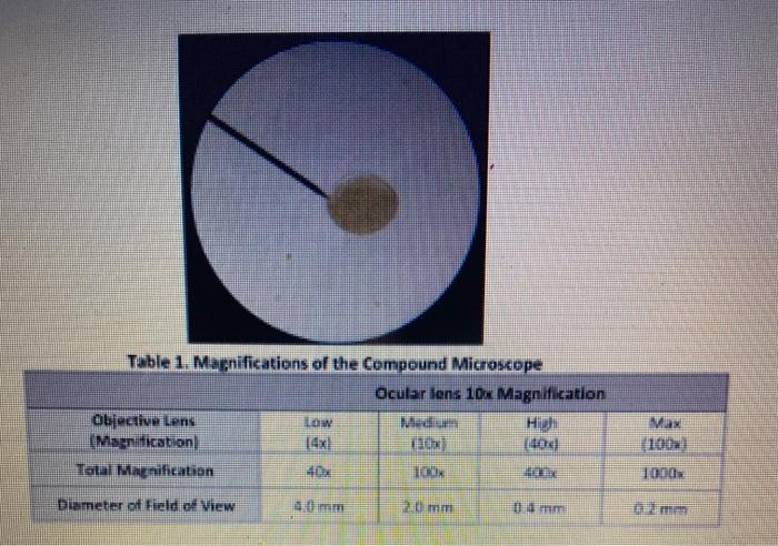 Table 1. Magnifications of the Compound Microscope | Chegg.com