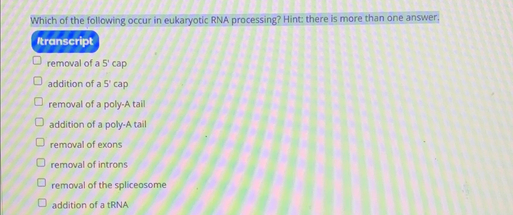 Solved Which of the following occur in eukaryotic RNA | Chegg.com