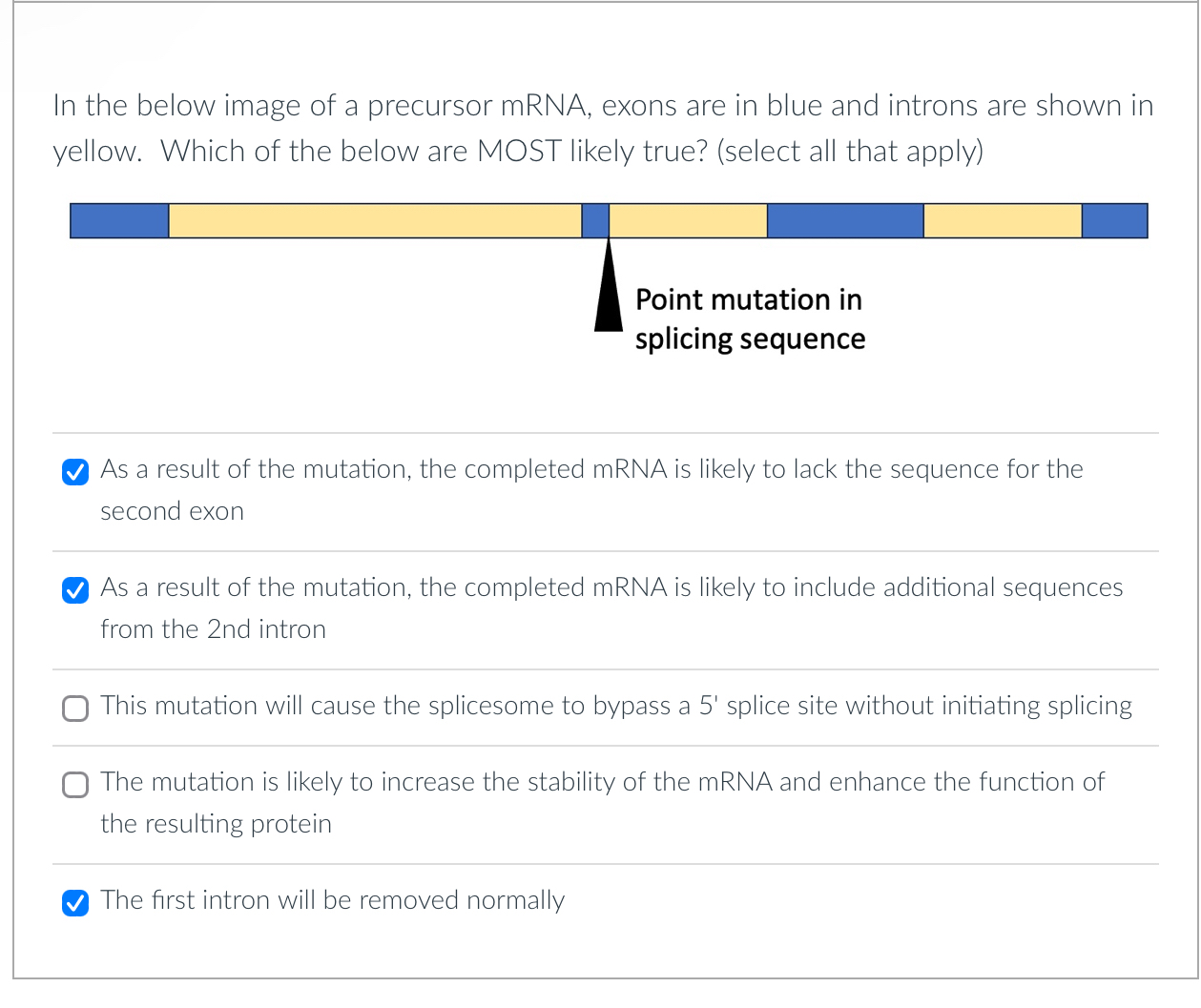 Solved In the below image of a precursor mRNA, exons are in | Chegg.com