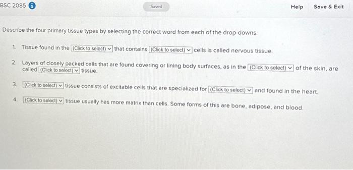 Solved BSC 2085 i Describe the four primary tissue types by | Chegg.com