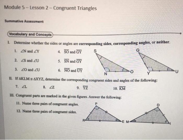 Solved Module 5 - Lesson 2 - Congruent Triangles Summative | Chegg.com