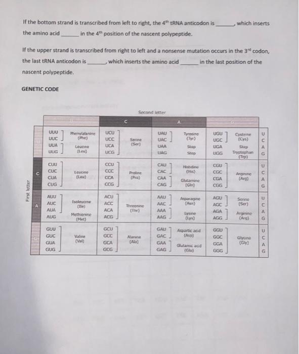 Solved If the bottom strand is transcribed from left to | Chegg.com
