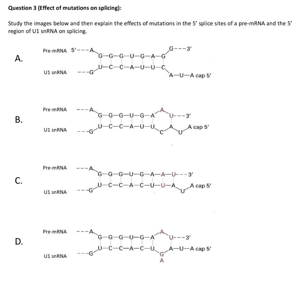 Solved Question 3 (Effect of mutations on splicing): Study | Chegg.com