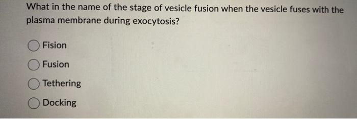Solved What in the name of the stage of vesicle fusion when | Chegg.com
