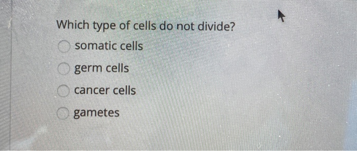 Solved Which type of cells do not divide? somatic cells germ | Chegg.com