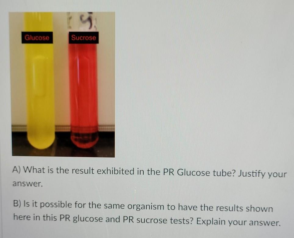 Solved Glucose Sucrose A) What is the result exhibited in | Chegg.com