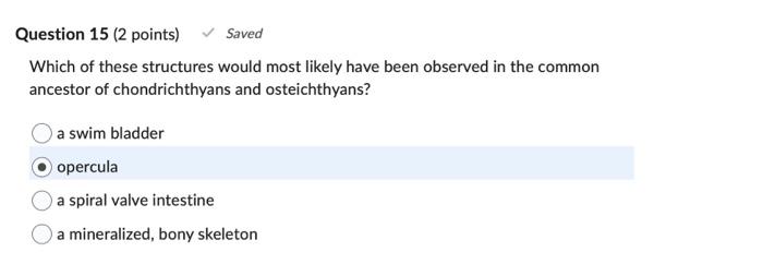 Solved A land snail, a clam, and an octopus all share a | Chegg.com