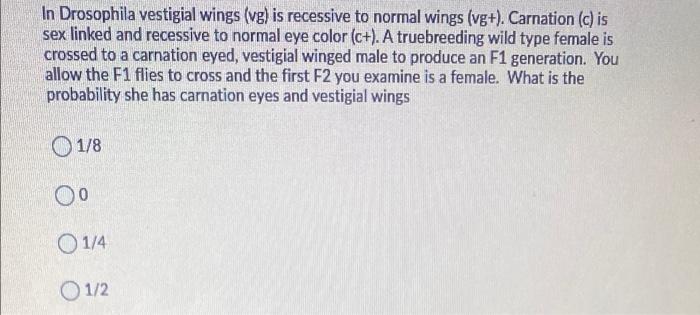Solved In Drosophila vestigial wings (vg) is recessive to | Chegg.com