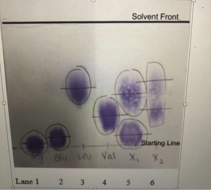 Solved 1. Calculate the Rf value for each known Jand unknown | Chegg.com