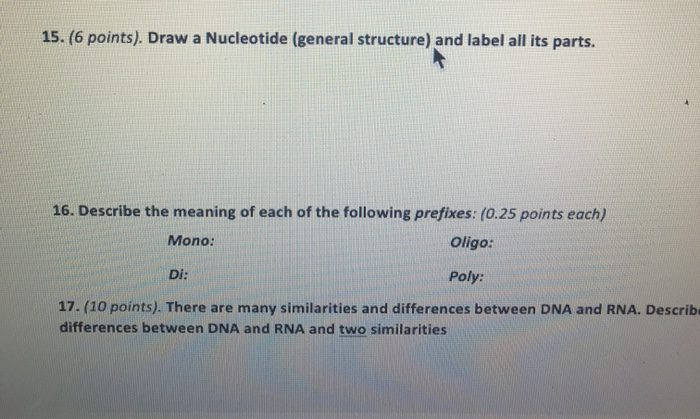 Solved 15. (6 points). Draw a Nucleotide (general structure) | Chegg.com