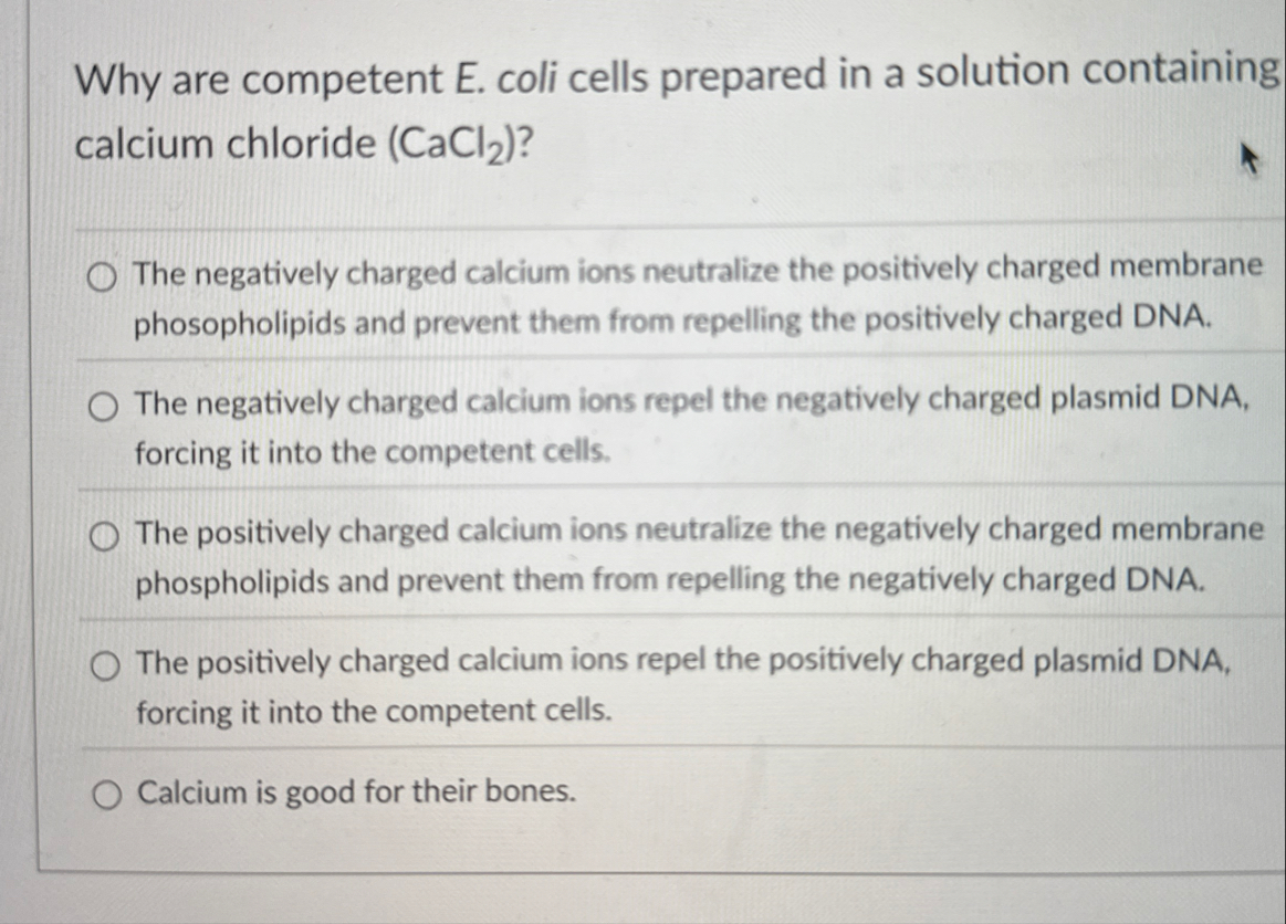 Solved Why are competent E. ﻿coli cells prepared in a | Chegg.com