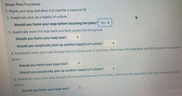 Solved Streak Plate Procedure: 1. Flame your loop and allow | Chegg.com