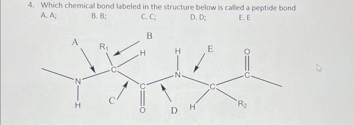 Solved 4. Which chemical bond labeled in the structure below | Chegg.com